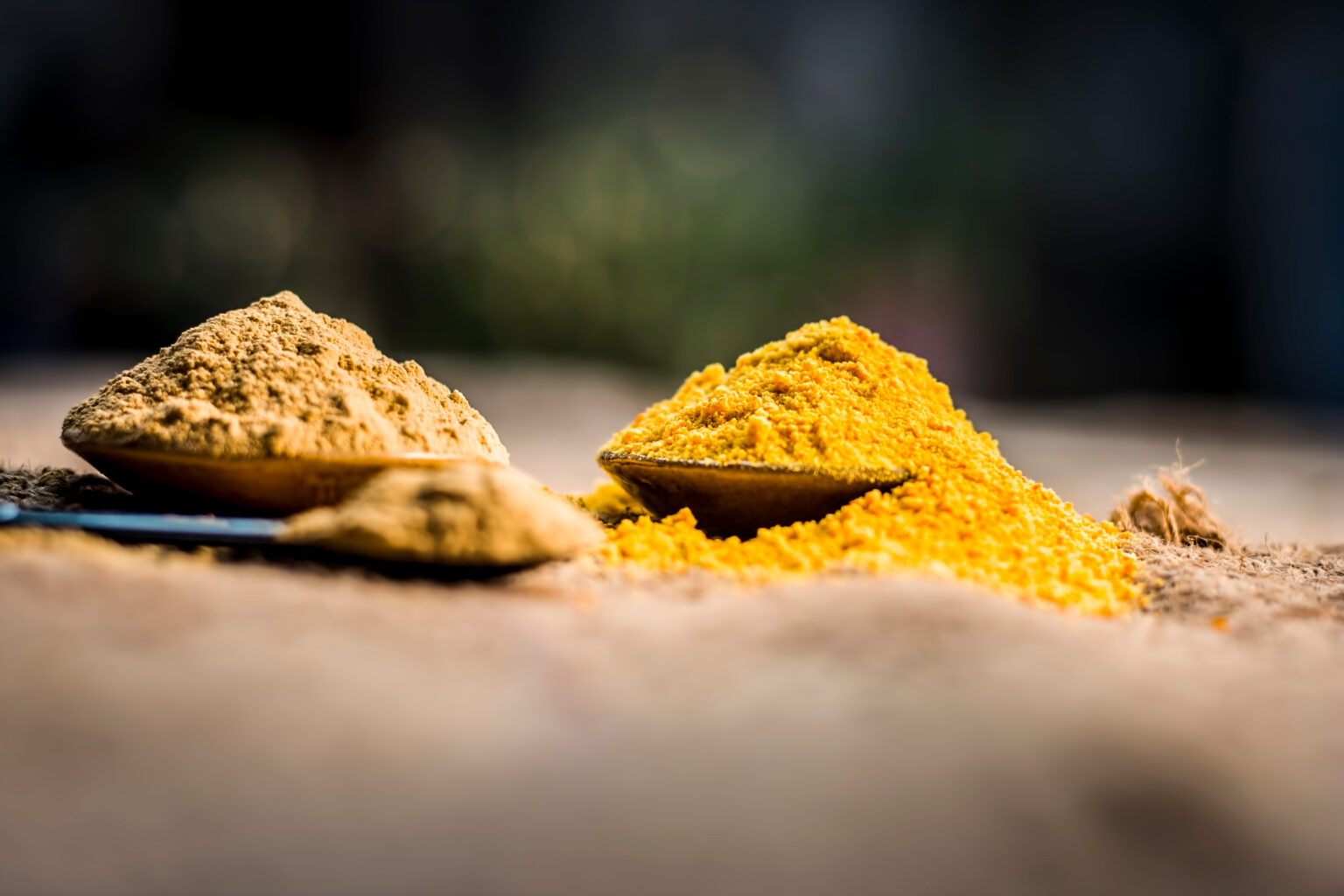 Scientific Article: Turning Food Waste into Value – UNIgreen