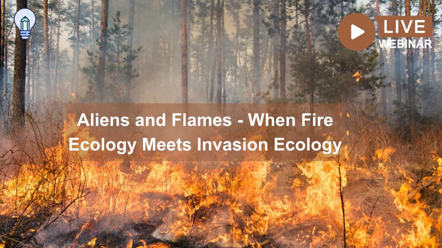 Aliens and Flames – When Fire Ecology Meets Invasion Ecology – UNIgreen